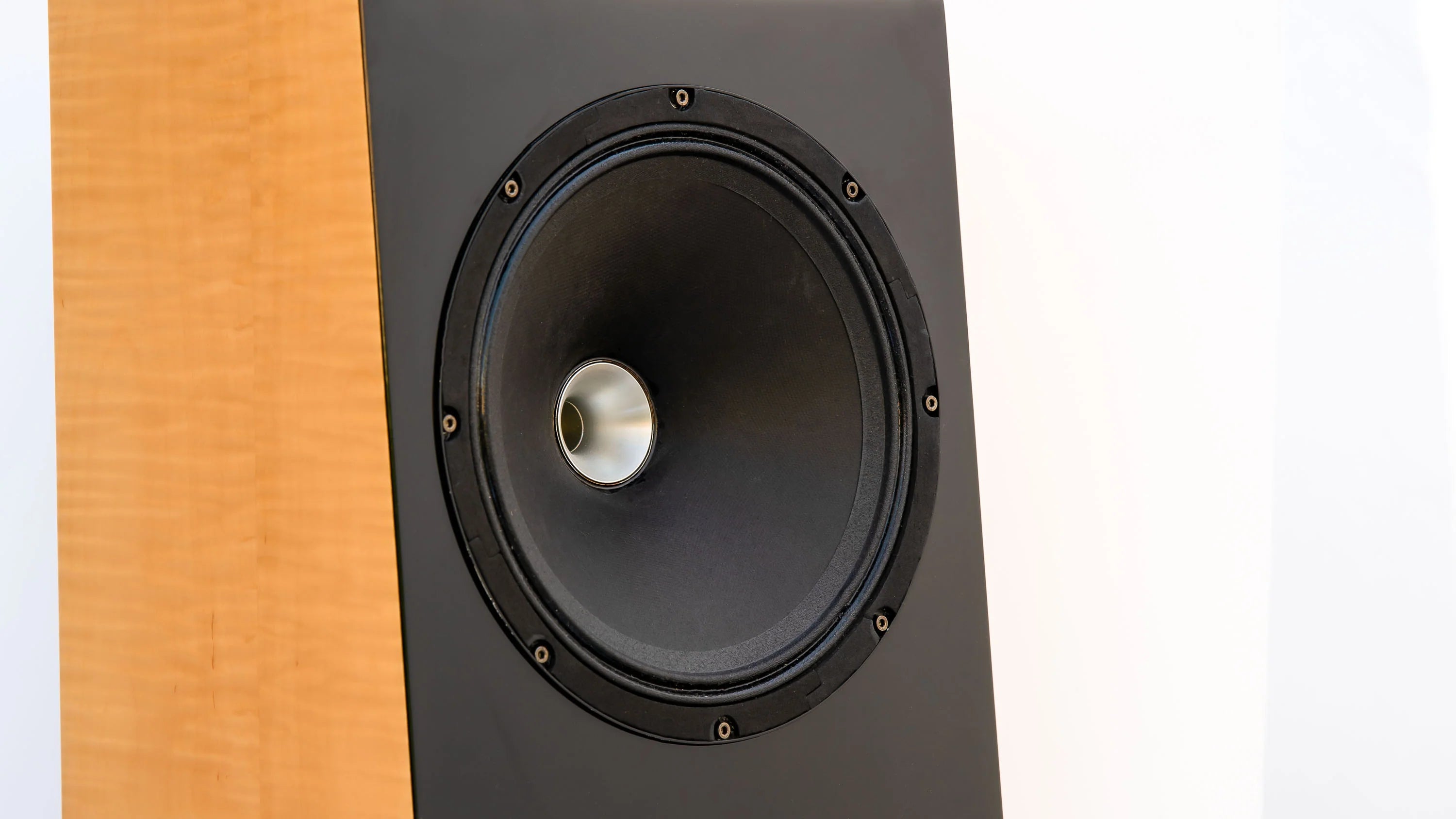 Daniel Hertz Amber Speakers | Audio Excellence Canada