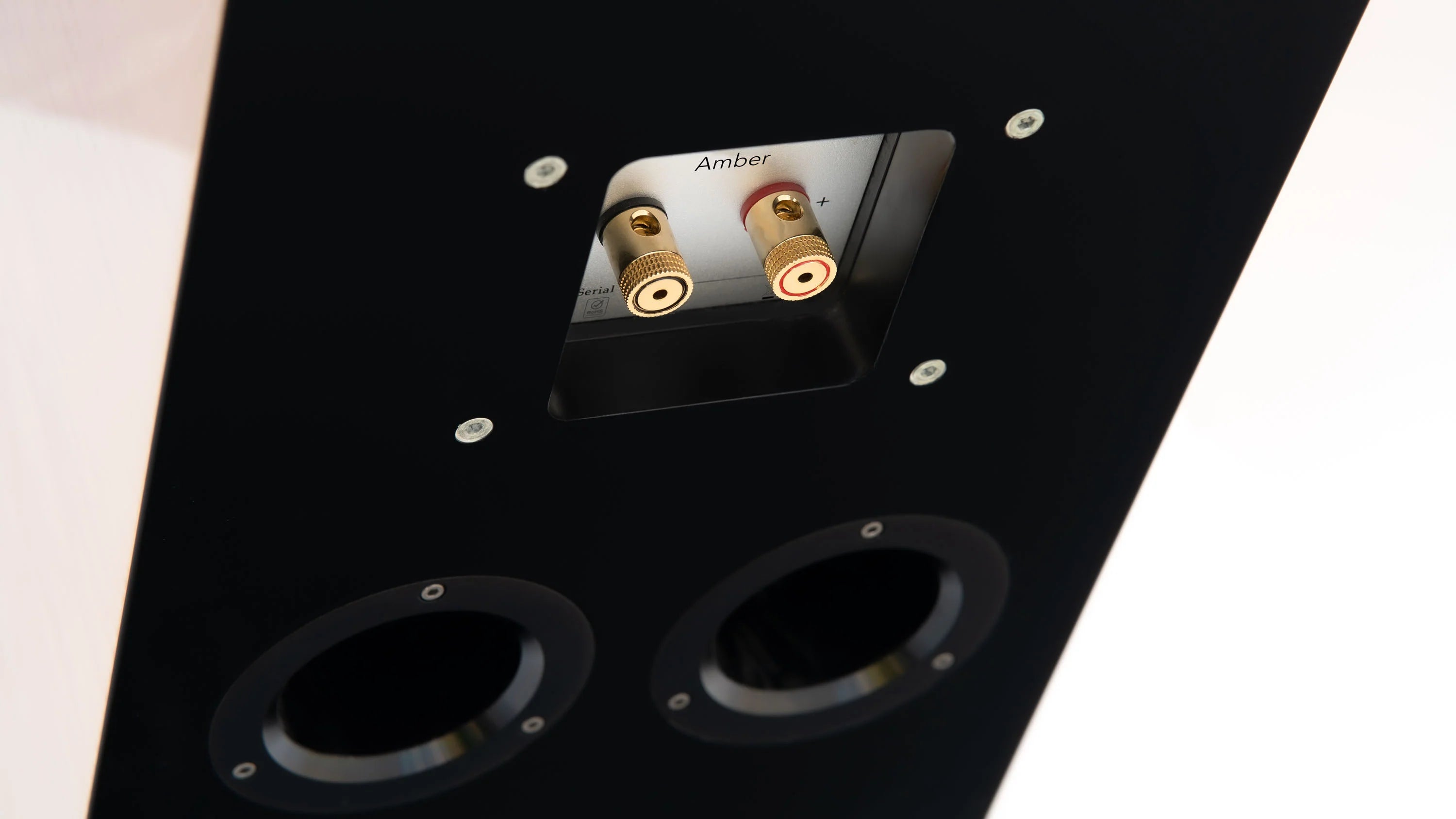 Daniel Hertz Amber Speakers | Audio Excellence Canada