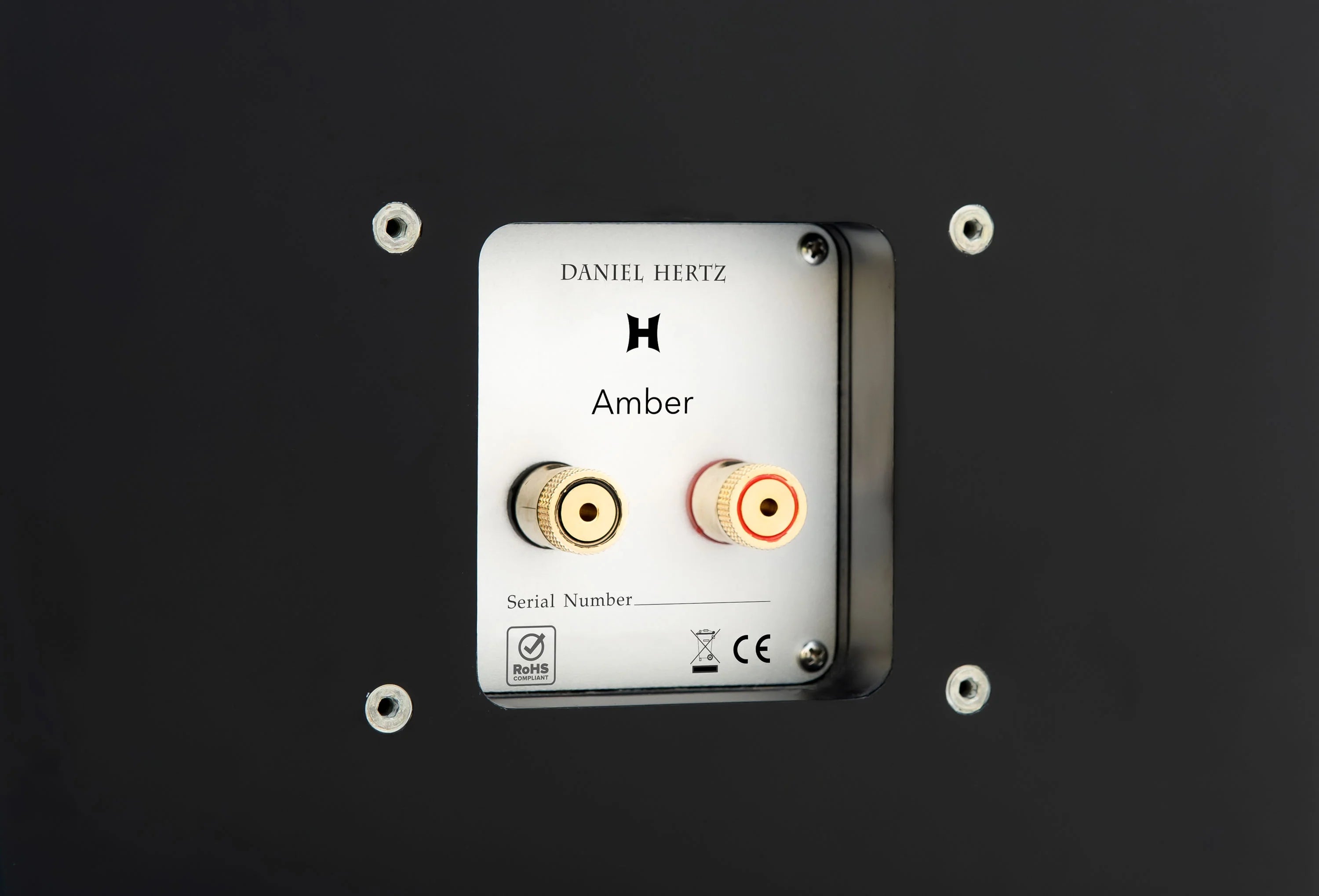 Daniel Hertz Amber Speakers | Audio Excellence Canada