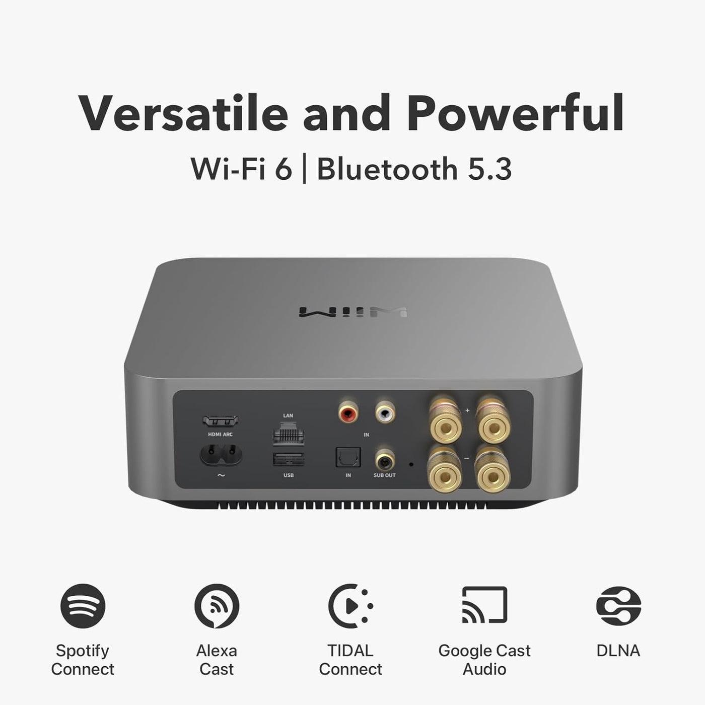 WiiM Amp Pro Multiroom Streaming Amplifier | Audio Excellence Canada