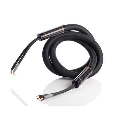 Shunyata Power Conditioning and Cables